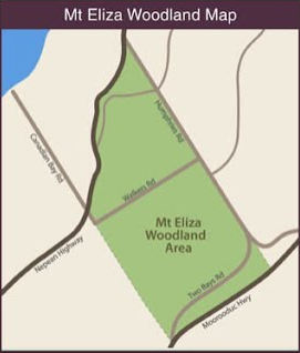 Drainage Upgrade – Mt Eliza Woodland Residents Association